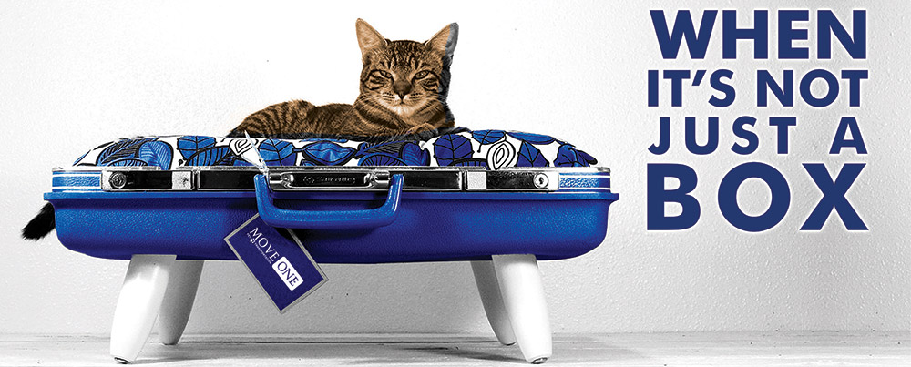 Careers at Move One - Move One